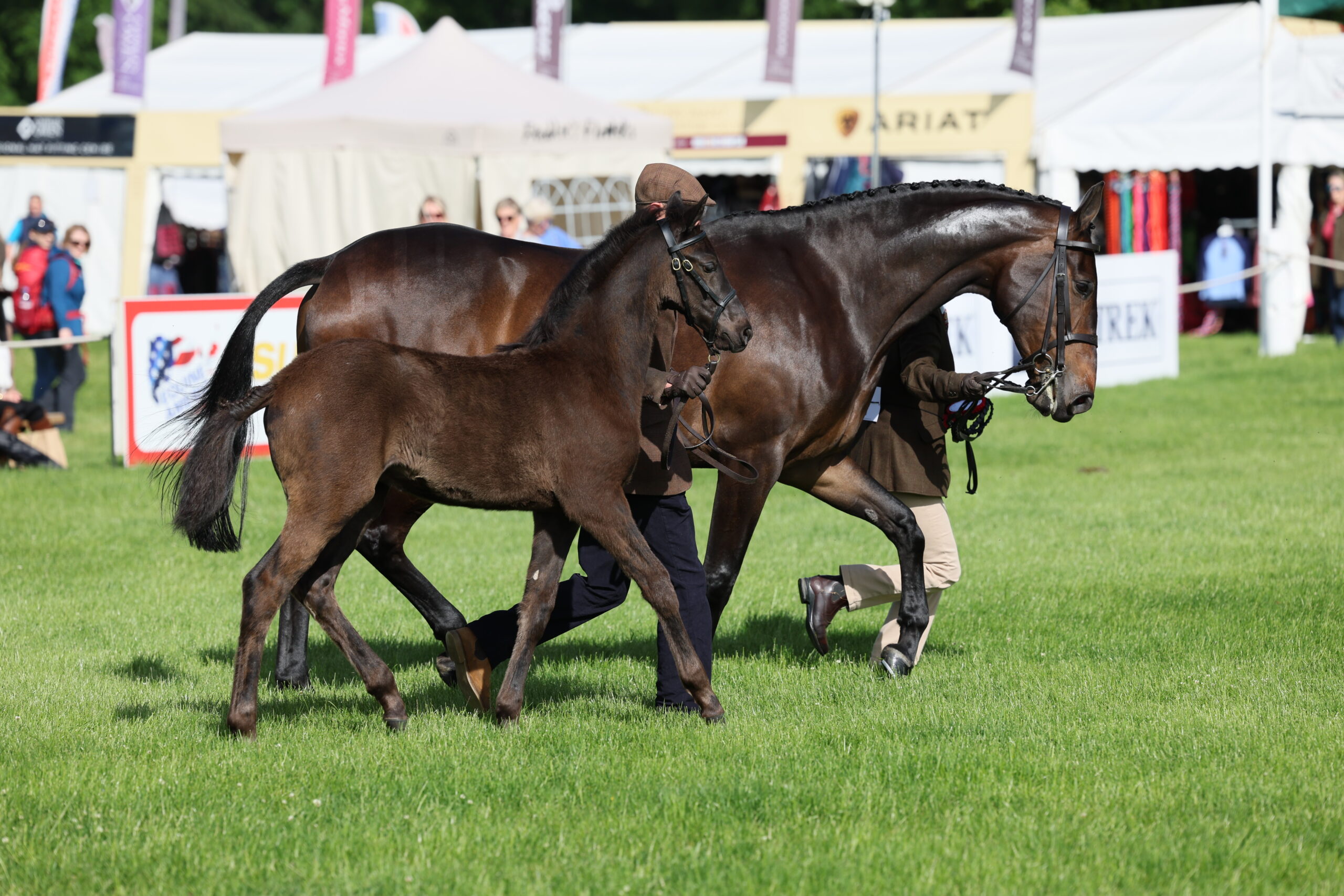 Arena Competitions - Defender Bramham International Horse Trials